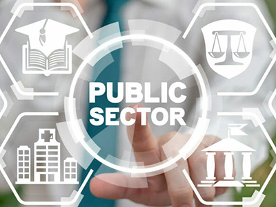 Public Sector The School Of Public Policythe School Of Public Policy